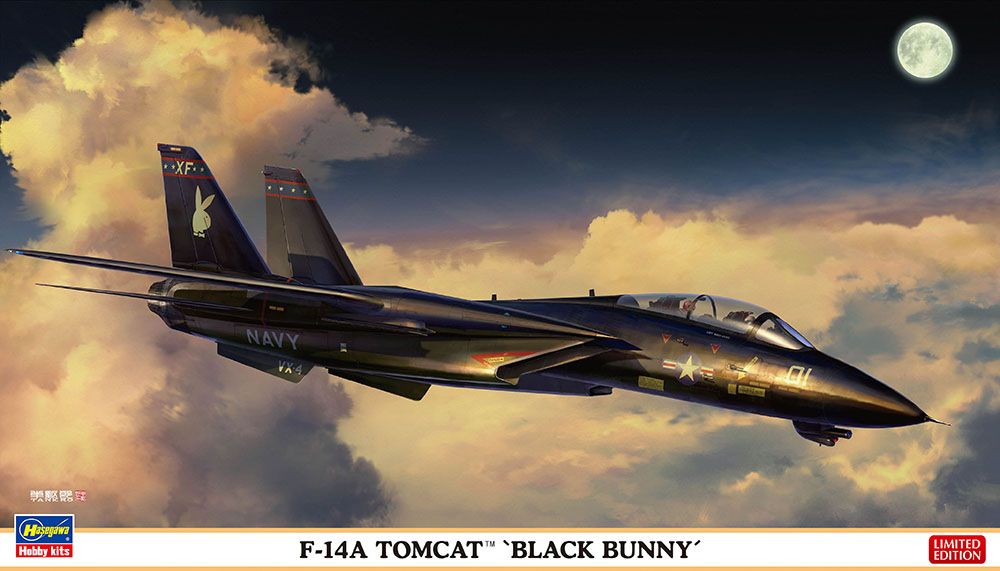 1:72 F-14A Tomcat 'Black Bunny' | MN modelář