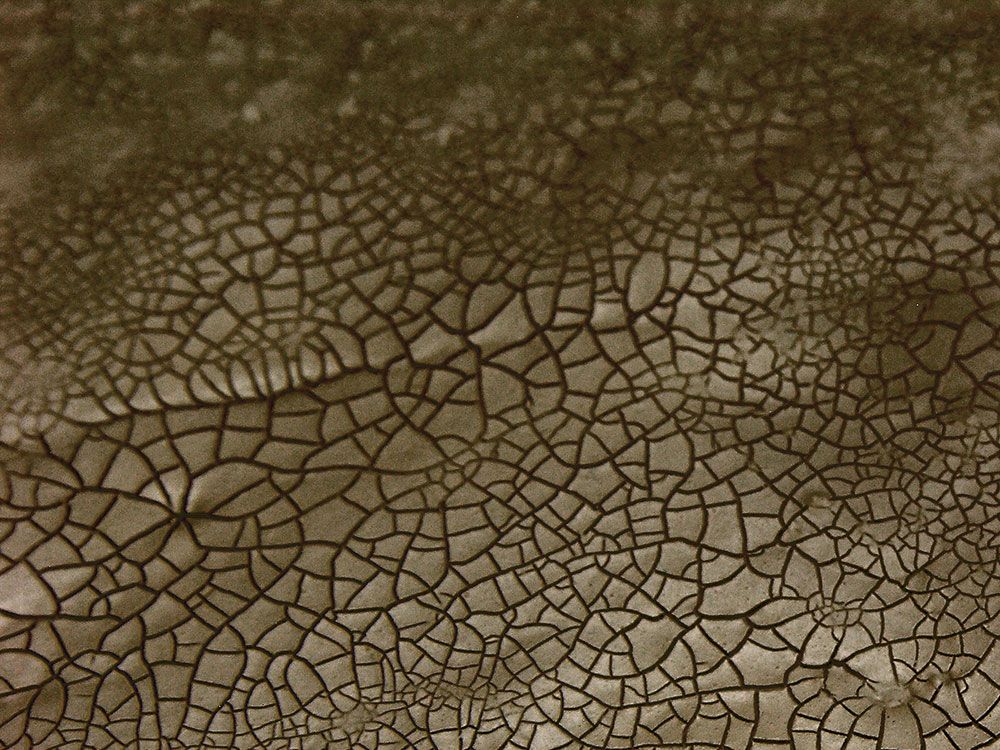 Dark & Dry Crackle Effects 100ml | MN modelář